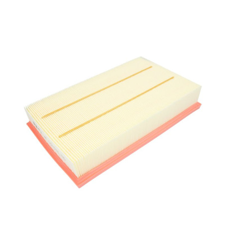 Filtro aria MANN FILTER C28043